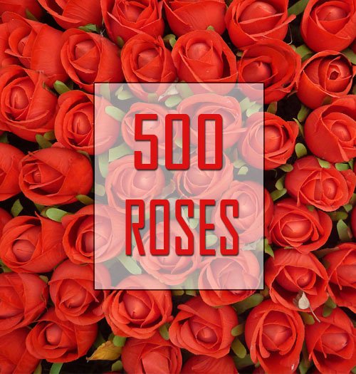 500 Red Roses – ArenaFlowers